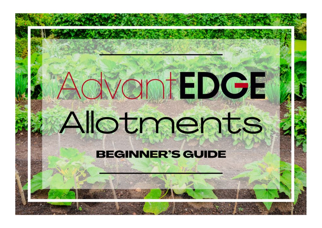 Allotments: Beginner's Guide - EDGE IT Systems